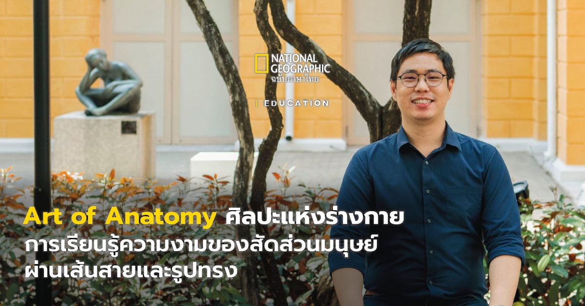 Art of Anatomy กายวิภาคศาสตร์ ศิลปะแห่งร่างกาย และการเรียนรู้ความงามของ ...