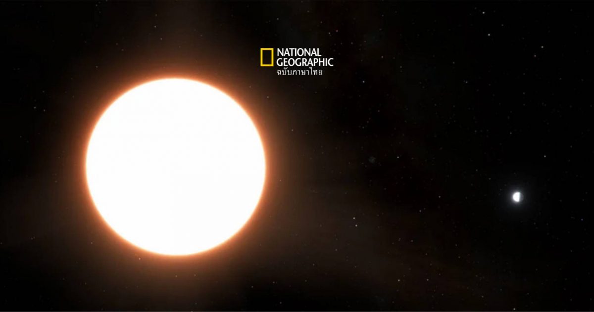 Discover the Mysterious Exoplanet LTT9779 b: The Giant 'Mirror' in the ...