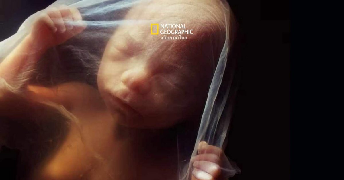 The Miracle of Newborn Breathing: From Womb to Lungs - Unveiling the ...