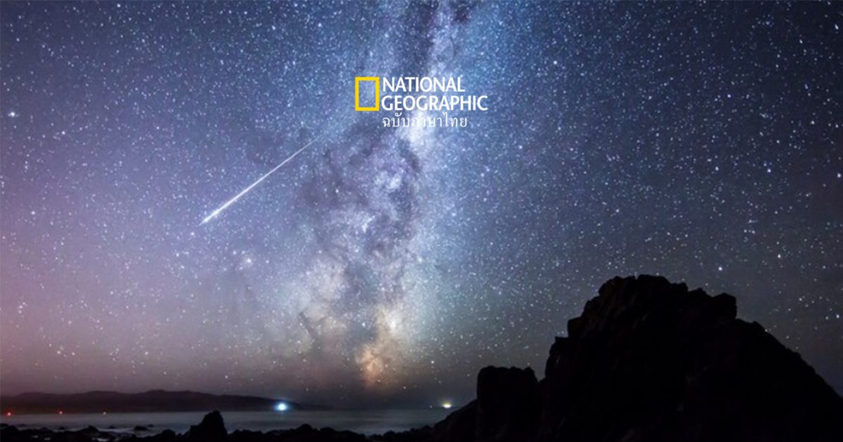 The importance of the "bat constellation" in the night sky - National ...