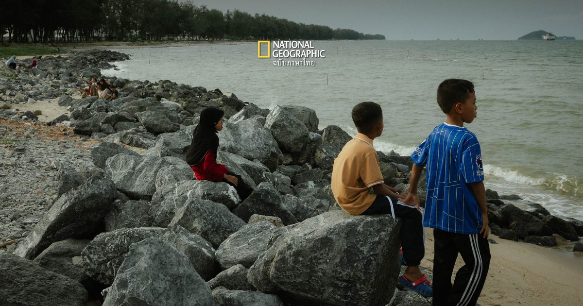 จับสัญญาณชีพ หาดสมิหลา ในวันที่เขื่อนหินกันคลื่น-เติมทราย อาจไม่ช่วยแก้ ...